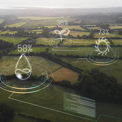 Google to make Indian agriculture data driven with new tool
